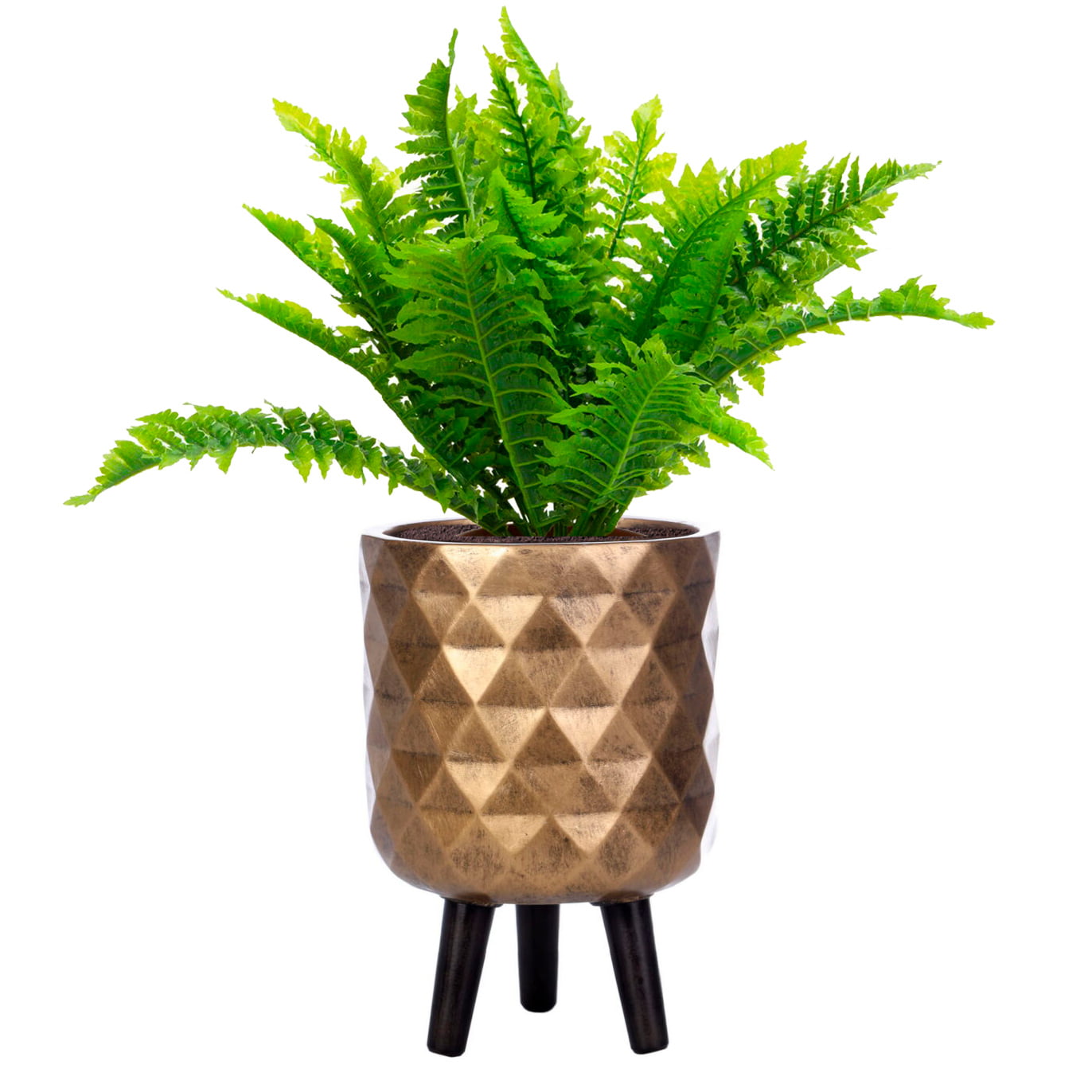 Купить Настольное кашпо для цветов Idealist Lite Страйп, золотистое ...