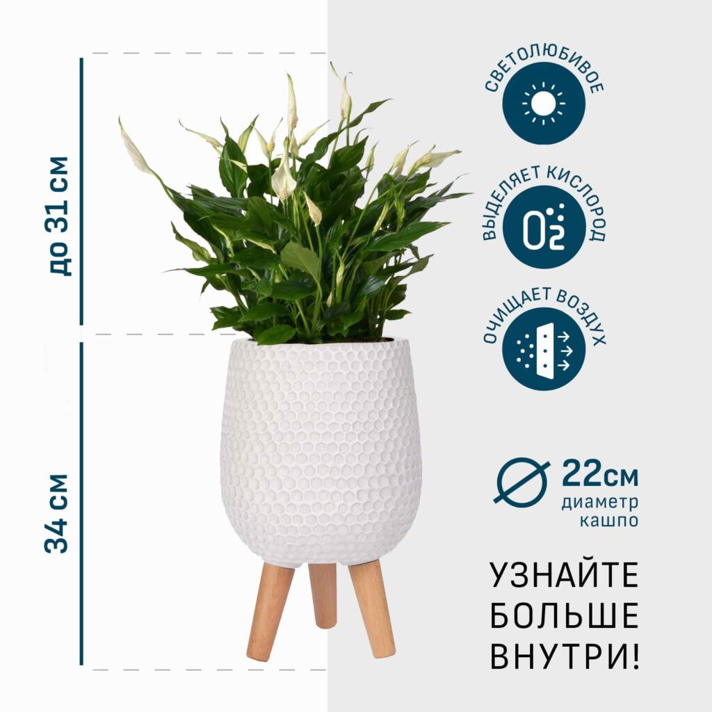 Купить Настольное кашпо для цветов IDEALIST Геометри, круглое, цвет ...
